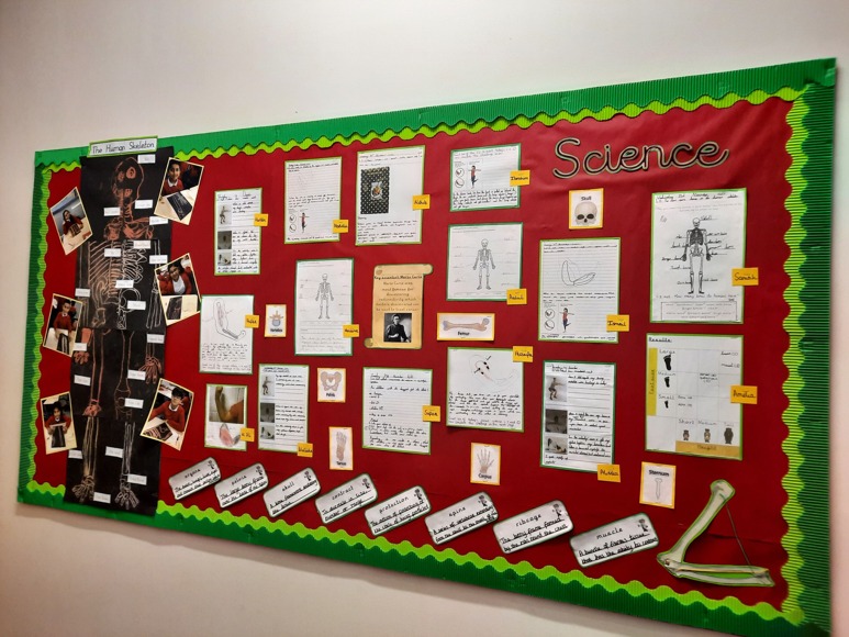 Year 3 - IQRA Primary Academy